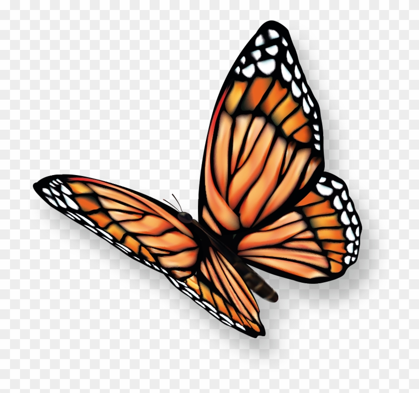 Get Your Tickets - Purposeless To Purposeful [book] - Free Transparent ...